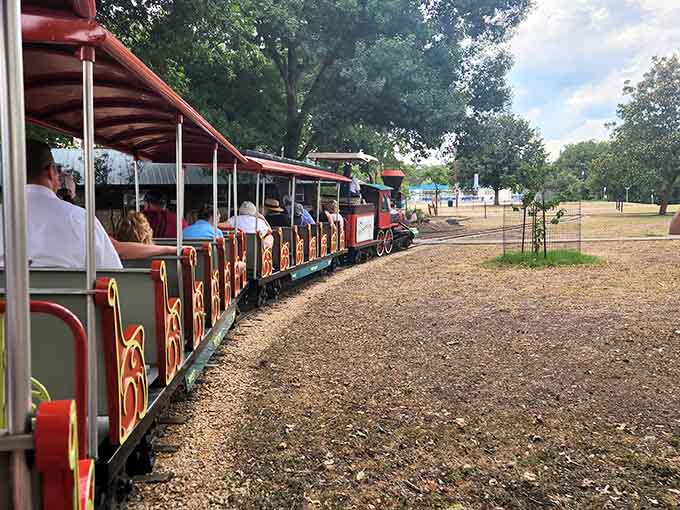 The view from your seat reveals exactly why this ride never gets old, no matter how many times you circle.