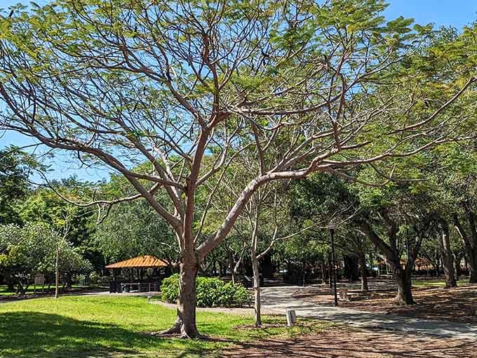 Mature trees create a canopy of shade that transforms the park into a natural cathedral perfect for leisurely afternoon exploration.
