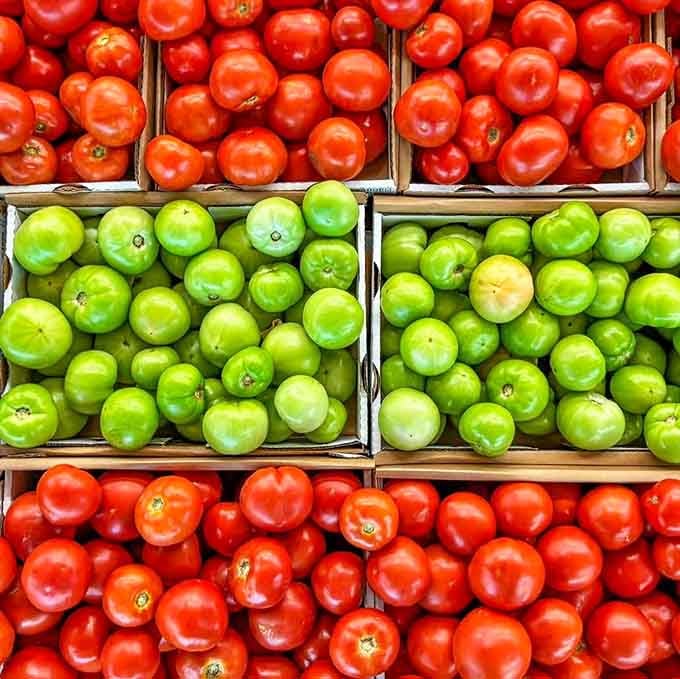 Red and green tomatoes arranged in perfect rows create a produce display worthy of museum-level appreciation.