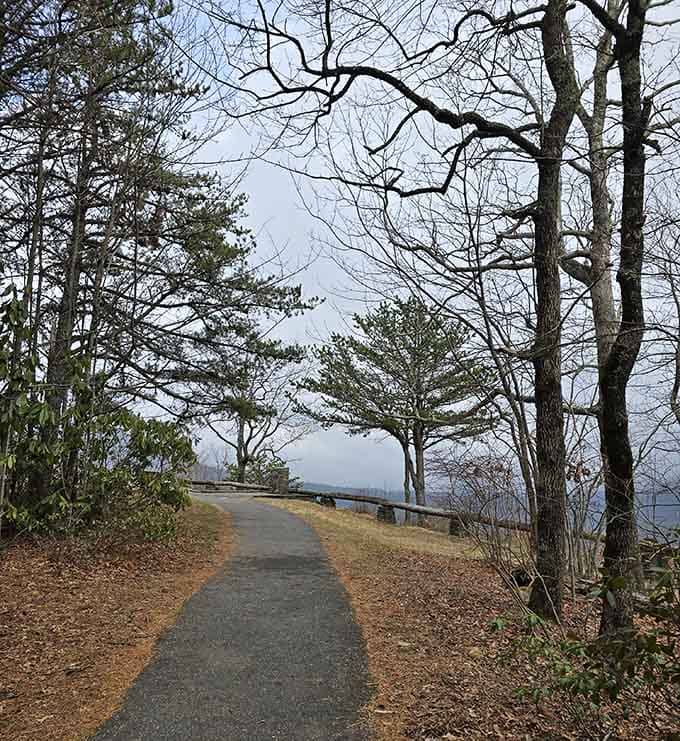 This paved path to the overlook makes spectacular views accessible without requiring mountaineering skills or expensive gear.