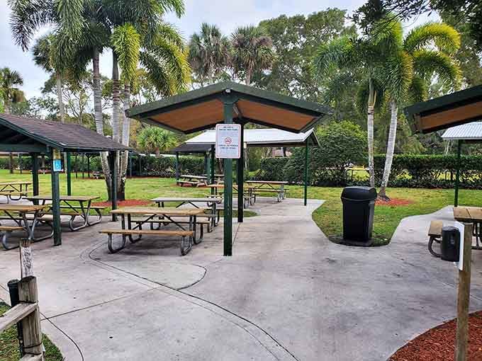 Shaded picnic tables where you can lunch while discussing whether that was actually a lion you saw.