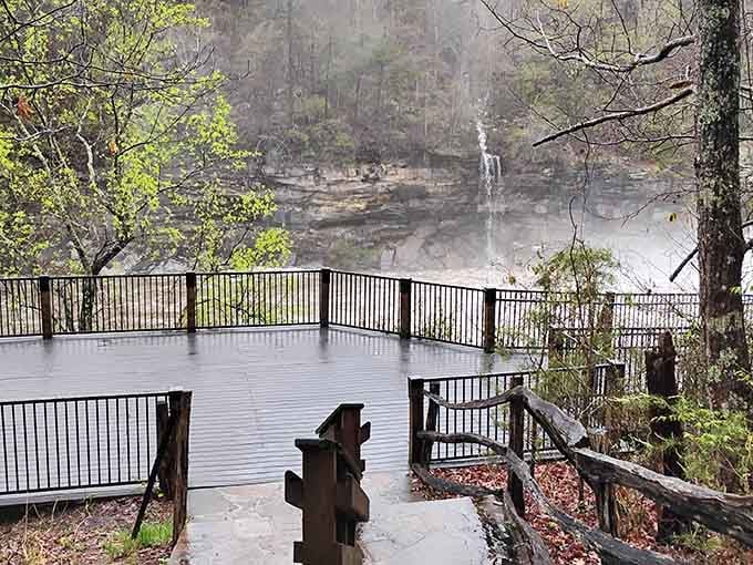 Misty mornings create an ethereal atmosphere that makes you feel like you've stepped into a fantasy novel somehow.