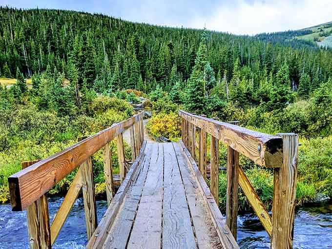 This wooden bridge crosses the creek with more charm than most highway overpasses could ever dream of.