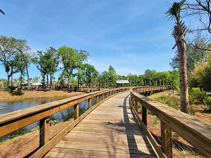 Winding boardwalks connect different park areas, offering scenic strolls through natural landscapes that remind you why Hilton Head is special.