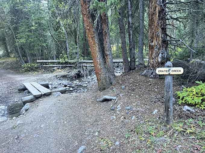 Crater Creek marks another milestone on your journey, each stream crossing bringing you closer to Lulu City.
