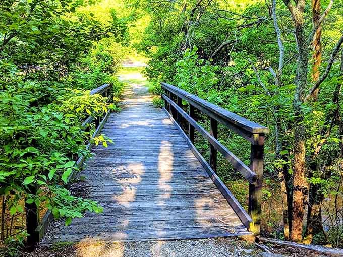 Wooden walkways like this turn a simple hike into something that feels almost meditative and peaceful.