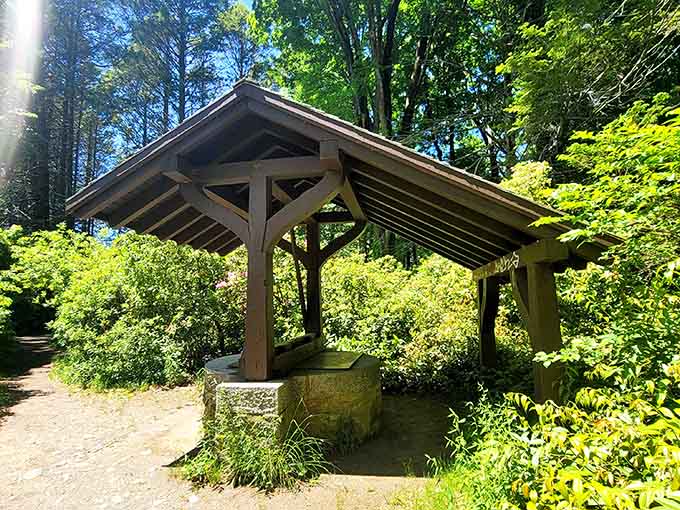 Even the shelters here have character, offering rest stops that feel more charming than your average park pavilion ever could.
