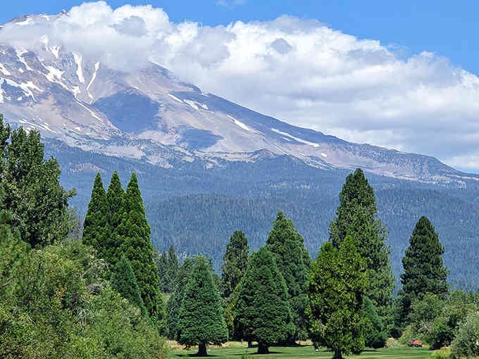 Every angle in McCloud seems designed to showcase that magnificent mountain, which never gets old no matter how long you stay.
