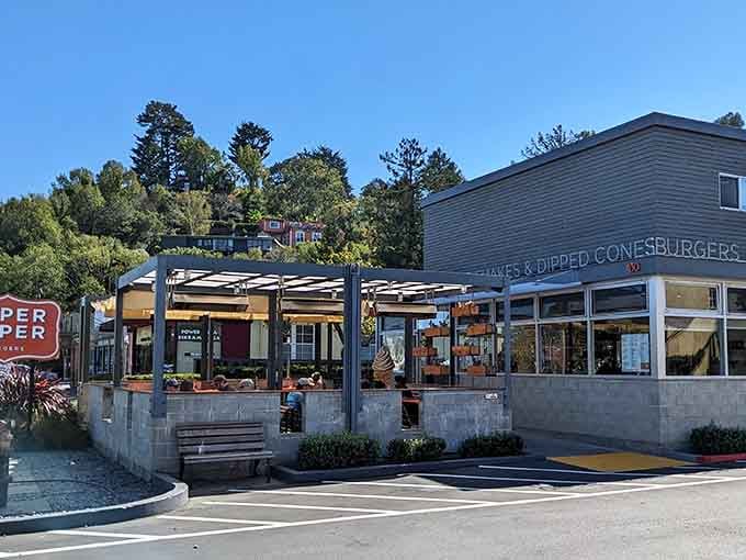 Modern casual dining with mountain views, because even burgers taste better when redwoods are part of the scenery.