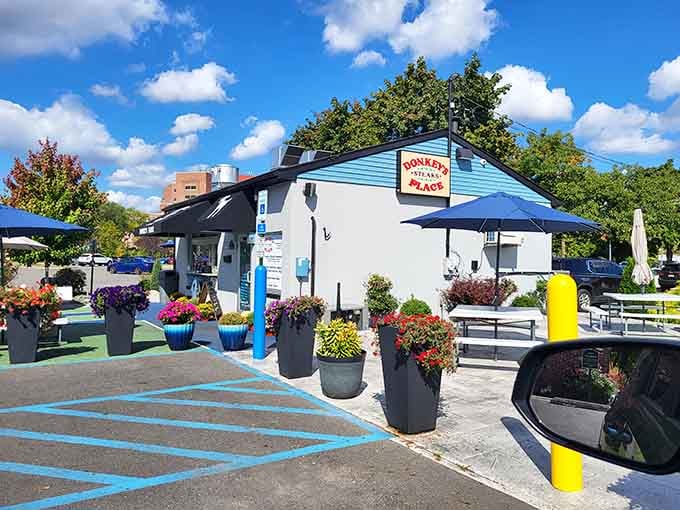 Donkey's Place Downtown brings cheesesteak excellence to Mount Holly, because every historic town needs proper sustenance options.