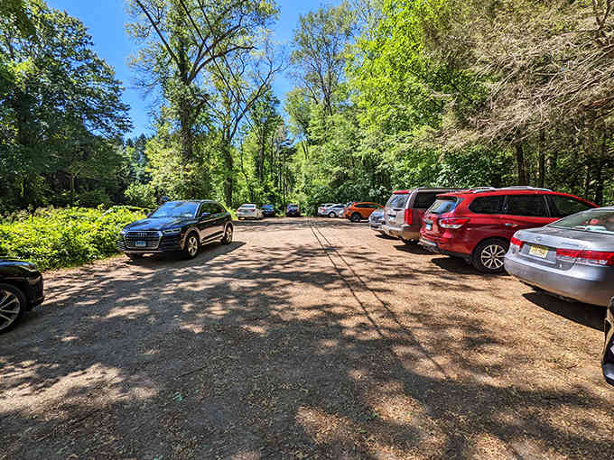 The parking lot fills up fast on beautiful days, proof that Connecticut knows a good thing.