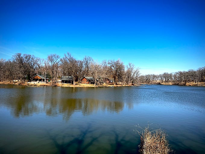Peaceful waters reflecting bare trees, the kind of view that makes you forget your phone exists for once.