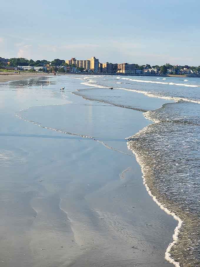 Where gentle waves kiss the shore and the skyline reminds you civilization is just a short drive away.
