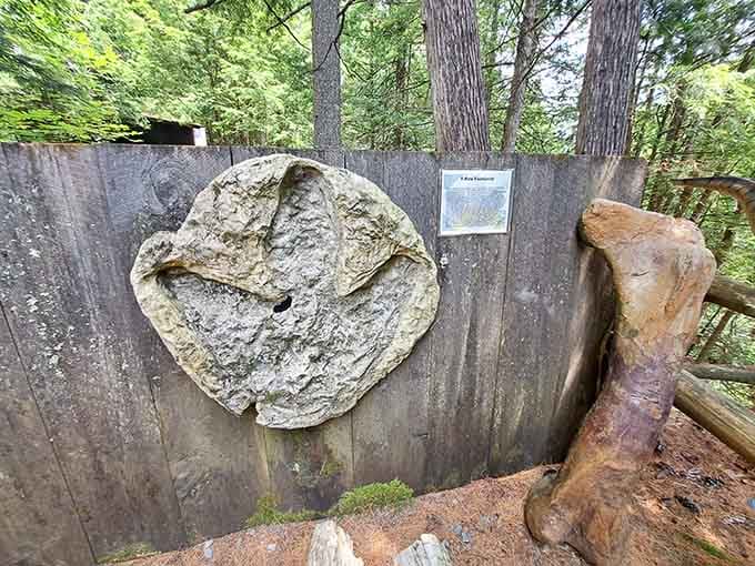 A T-Rex footprint fossil reminds us that New York's history goes way, way back before pizza.