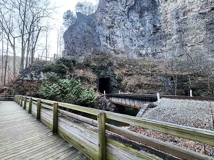 Winter strips away the green curtain, revealing the raw bones of this geological masterpiece.