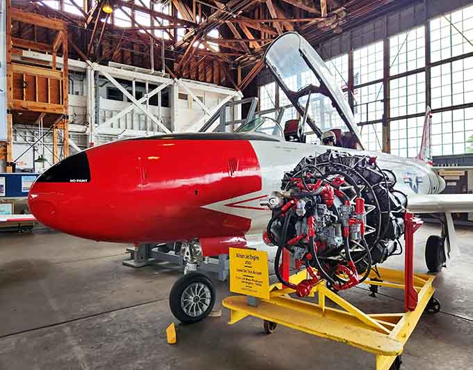 A massive jet engine on display reminds you these birds needed serious power to defy gravity daily.