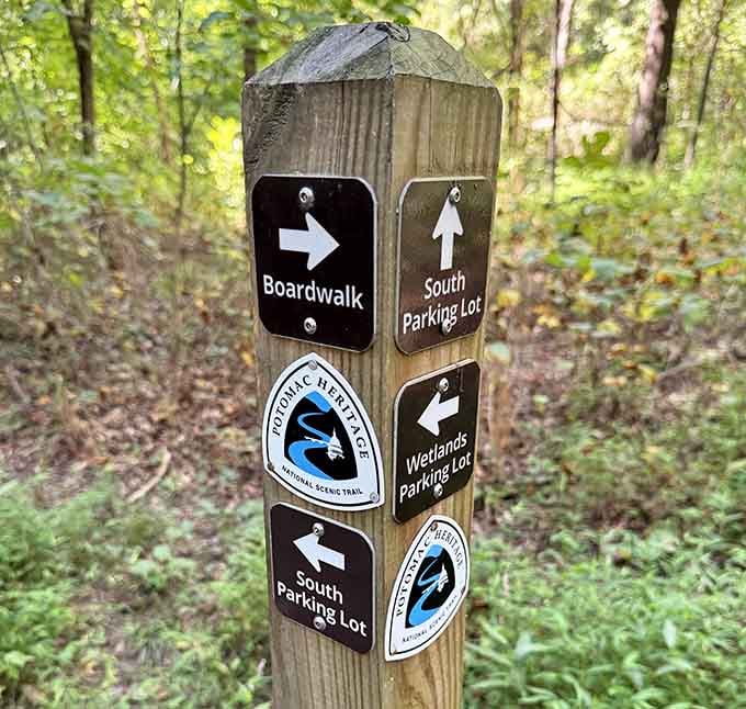 Clear signage ensures nobody gets lost, though honestly, wandering here wouldn't be the worst mistake ever.