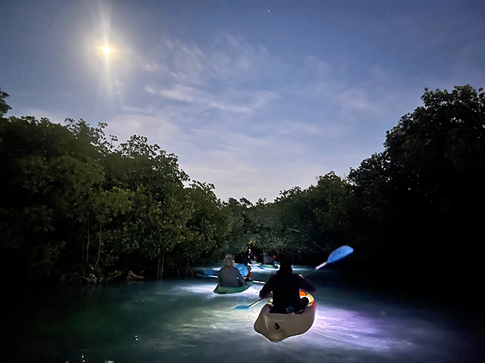 Following the leader through moonlit waters, each paddle stroke creating ripples of light in your wake below.