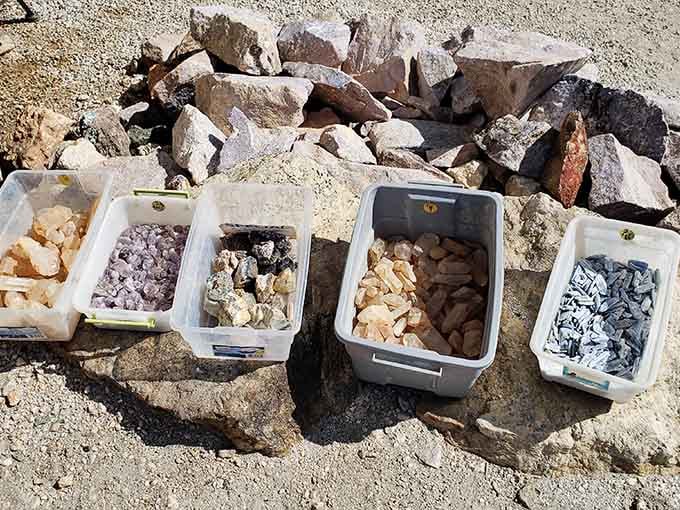 Sorted bins reveal nature's palette, from pink tourmaline to smoky quartz, each container a geological candy store.