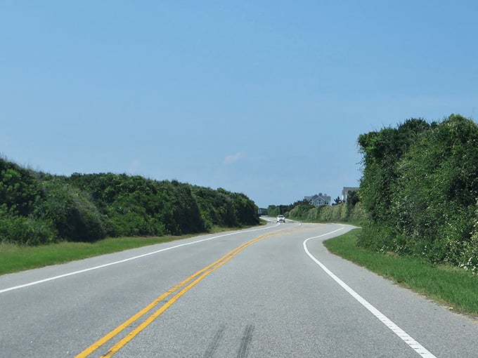 The road curves gently through maritime forests where the landscape shifts from beach to something almost jungle-like.