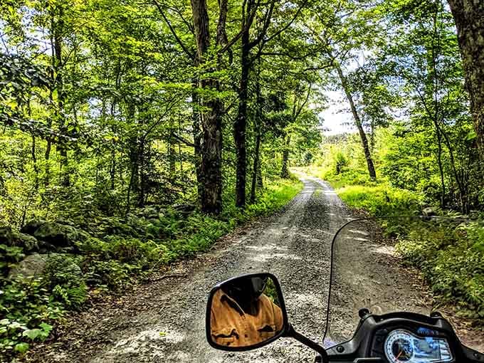 Gravel roads disappearing into green tunnels practically beg you to see where they lead, motorcycle optional.