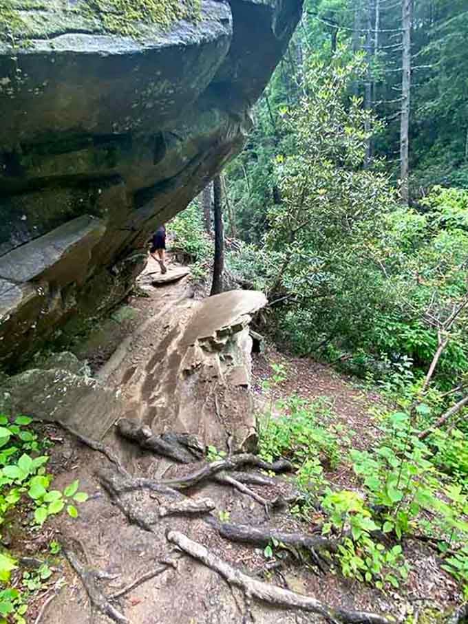 Walking under this rock overhang feels like the mountain is giving you a protective hug.