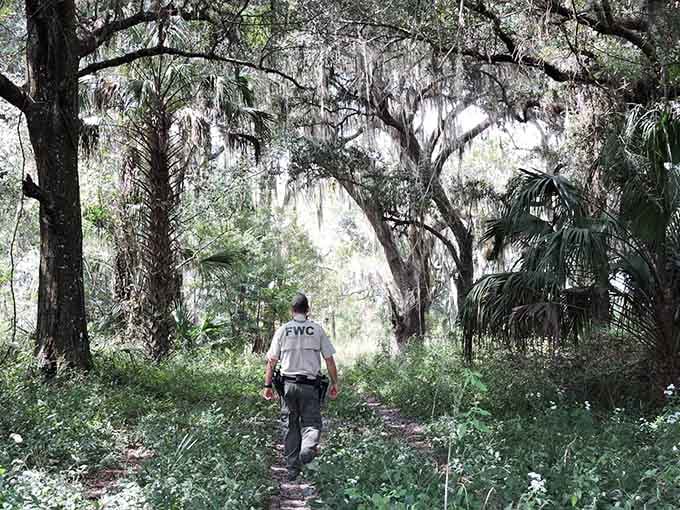 Rangers who know every trail, bird call, and the best times to spot wildlife without becoming wildlife entertainment.