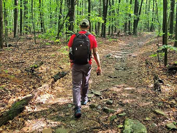 The trail to paradise requires actual walking, but your Instagram followers will never know you broke a sweat.