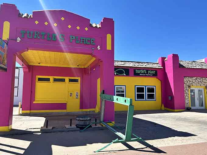 Turtle's Place adds colorful personality to the local dining scene with bold paint choices that demand attention.