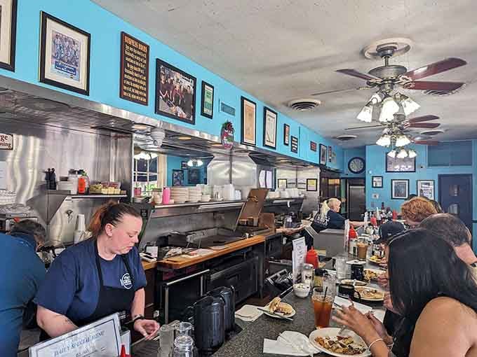 The counter view puts you front row for the breakfast show, better entertainment than cable television.