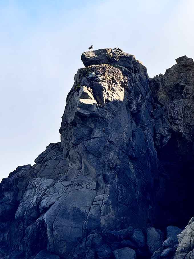 Look closely and that rock formation resembles a face staring out to sea, deeply unimpressed by everything.