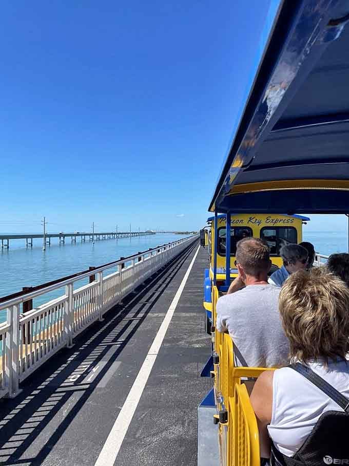 Rolling along the bridge with fellow adventurers, everyone's inner child comes out to play on this journey.