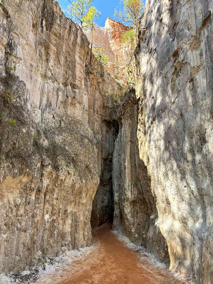 Towering walls create a natural corridor through striped sediment, offering an intimate view of Earth's colorful geological layers.