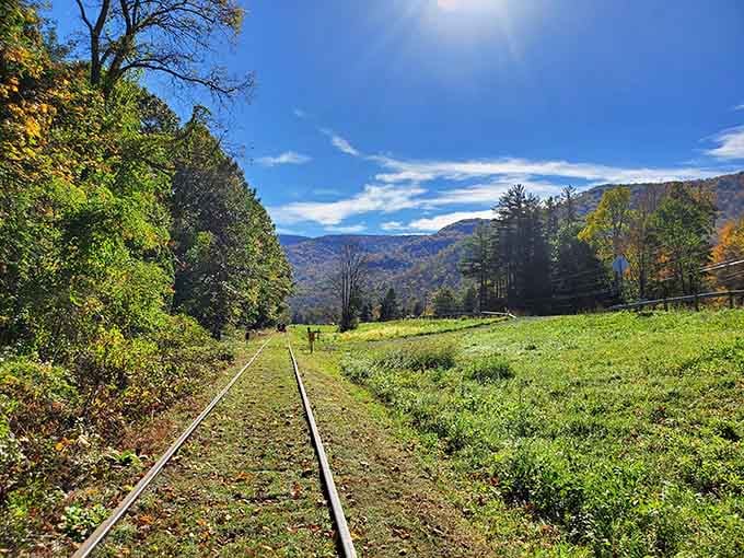 Blue skies, rolling mountains, and tracks disappearing into the distance create a postcard moment you're actually living through right now.