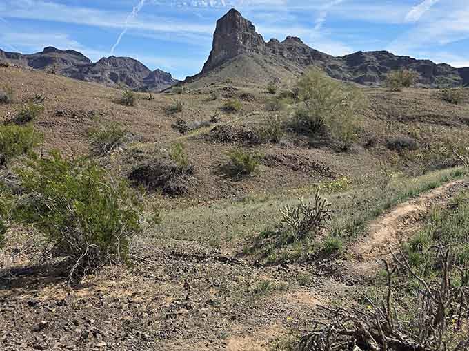 Desert trails wind toward peaks that look like they belong in a classic Western movie backdrop.