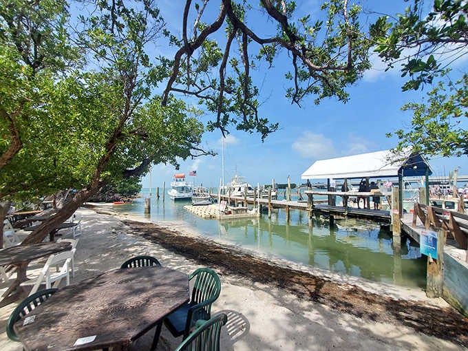 Shaded shoreline seating offers front-row views of the daily wildlife show that never gets old or predictable.