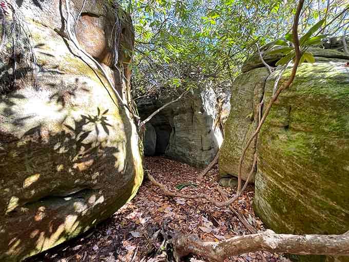 The reddish earth beneath your feet contrasts beautifully with gray stone walls reaching skyward on both sides.