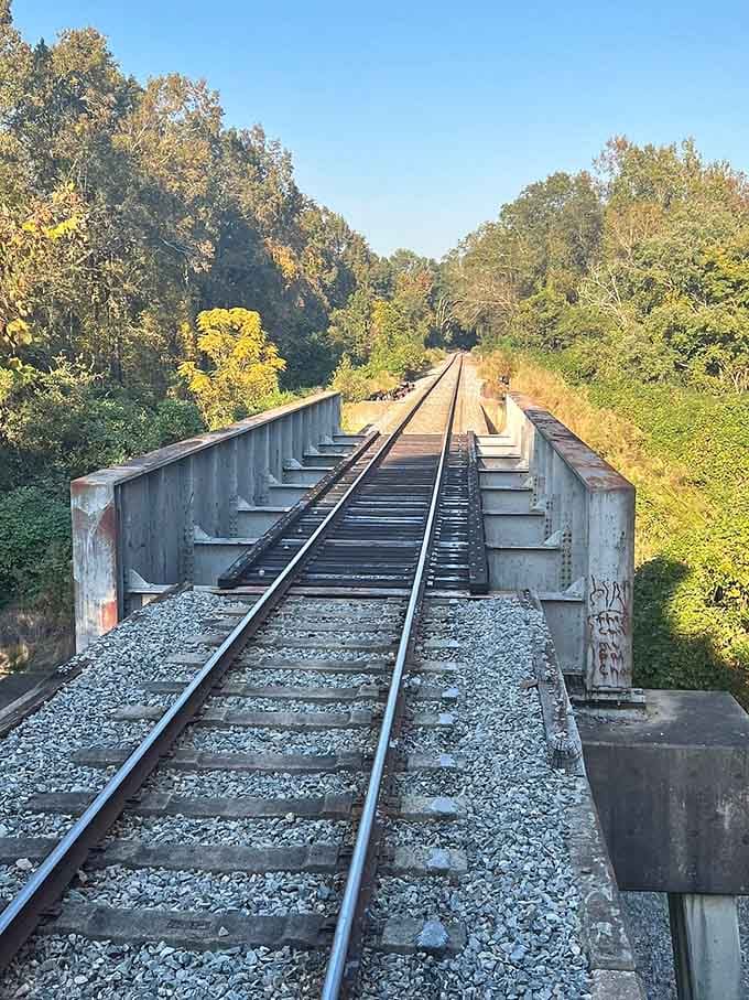 The railroad bridge carries you over waterways just like it did for generations before smartphones made us forget to look up.