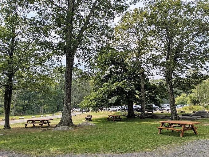 These picnic tables offer front-row seats to nature's show, no reservation or overpriced tickets required here.