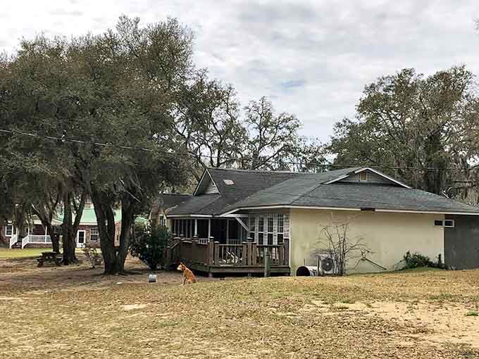 Island homes nestled among ancient oaks, where generators hum instead of power lines and self-sufficiency isn't just a buzzword.
