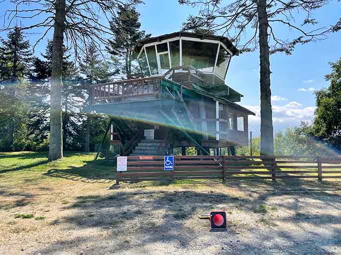 The old fire lookout tower stands as a quirky reminder of Sequim's practical, no-nonsense heritage.