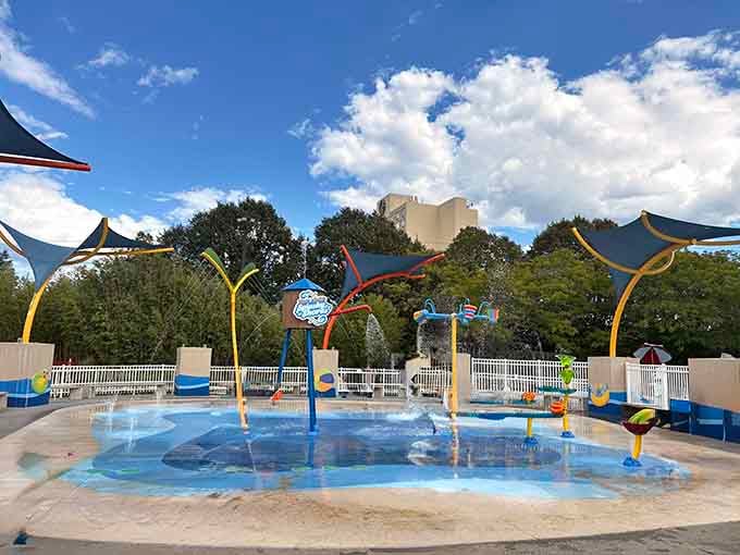 Cookie Monster's splash pad proves that water play is almost as satisfying as cookies, almost.