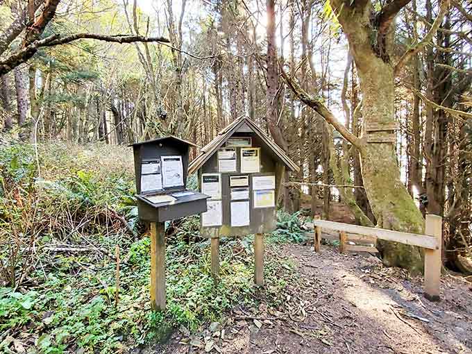 This trailhead information area is your gateway to one of Washington's most spectacular coastal adventures ahead.