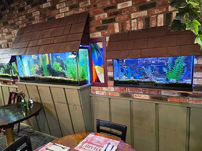 Even the fish get a nice view while you're dining, which seems only fair given what's happening on your plate.