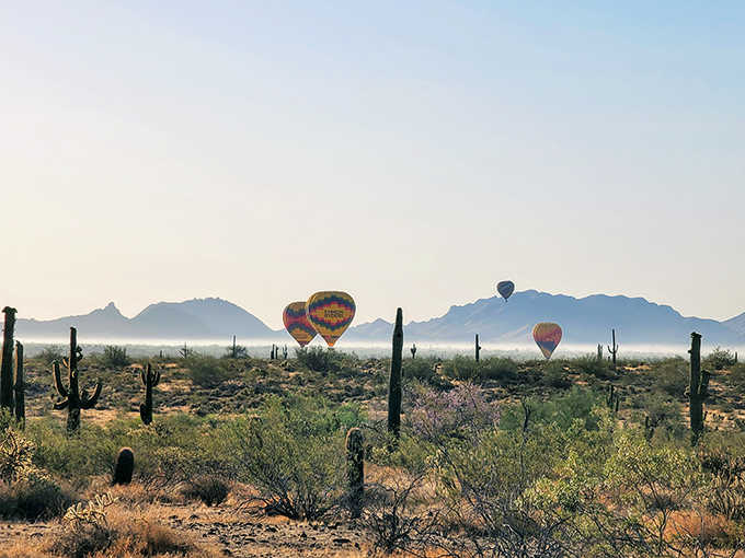Early morning magic happens when hot air balloons float past saguaros, creating Arizona's most Instagram-worthy commute ever imagined.