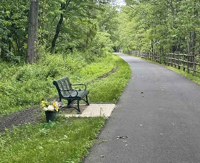 Strategic bench placement for those who appreciate nature best while sitting down with a good snack.