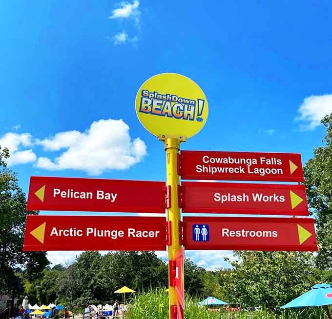 Directional signs point toward adventures with names like Cowabunga Falls and Shipwreck Lagoon, because subtlety is overrated.