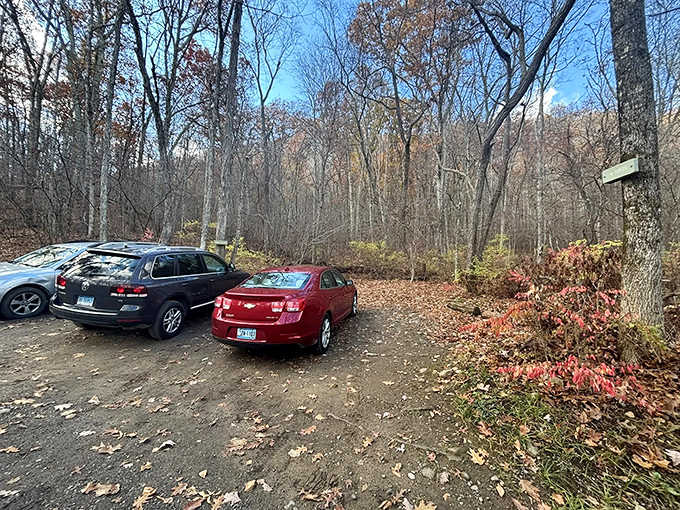 That parking lot fills faster than a bakery on Sunday morning, so arrive early or circle endlessly.