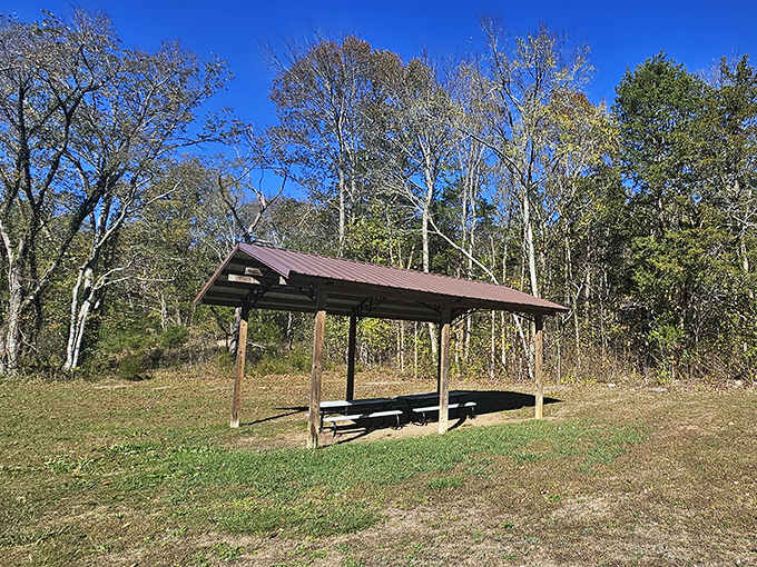 A peaceful picnic shelter waits for post-adventure celebrations, where you can relive your underground journey over sandwiches and snacks.