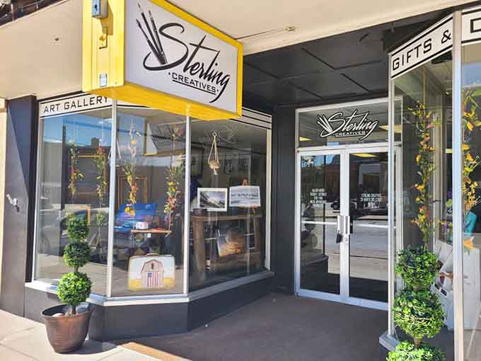 Sterling Creatives showcases local art without the pretentious gallery pricing that makes your wallet weep uncontrollably.